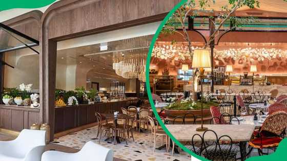 Tashas menu and prices in South Africa (updated for 2024) - Briefly.co.za