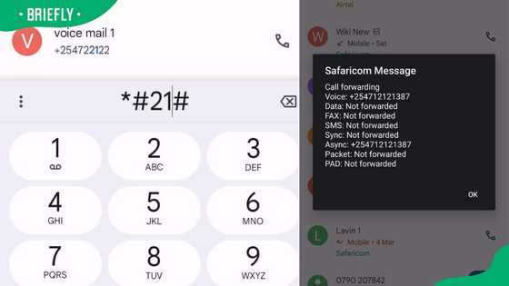 How to divert calls to another number: Easiest methods - Briefly.co.za