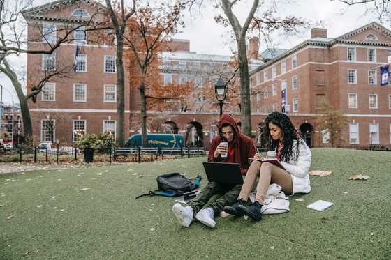 15 best private colleges and schools in South Africa: Choose the best ...