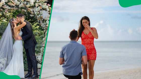 Who is Grayson Allen's wife? Meet Morgan Reid, former soccer star - Briefly.co.za