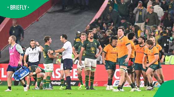Matt Williams Praises Springboks' Attacking Evolution, Acknowledges ...