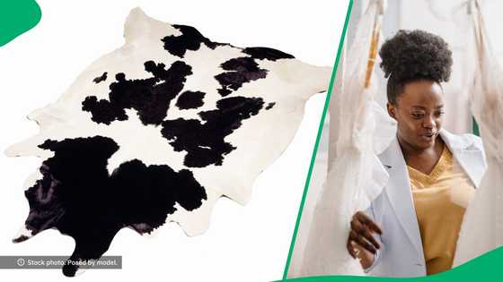 Bride Wears Cowhide Wedding Dress in TikTok Video, Modern Gown ...