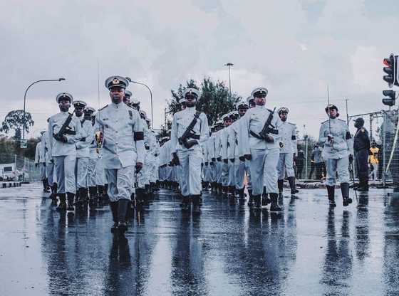 How to apply for a job at the South African navy: process, requirements ...