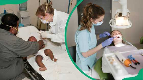 GEMS medical aid scheme: Get a detailed overview for 2024 - Briefly.co.za