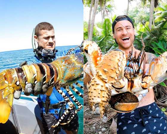 Who is Brodie Moss? Age, girlfriend, height, career, net worth ...