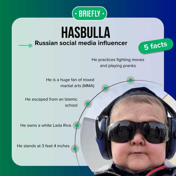 Hasbulla's net worth: A peek at Mini Khabib's fortune - Briefly.co.za