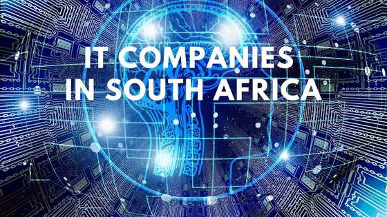 10 Biggest IT companies in South Africa - Briefly.co.za