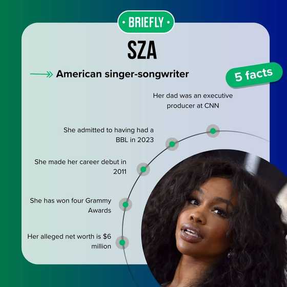 SZA before surgery: How the singer transformed her body and face ...