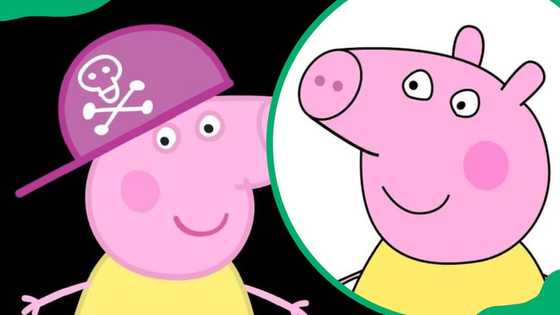 Meet the Peppa Pig characters: fun facts, pictures, and profiles ...