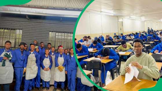 Denver Technical College: online application, courses, fees, student ...