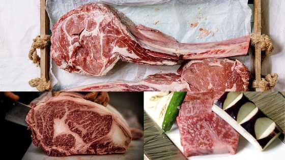 Top 10 most expensive steaks in the world and their prices - Briefly.co.za