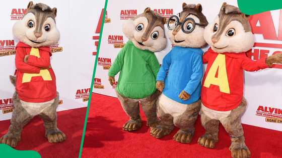 Alvin and the Chipmunks in order: The exact sequence to follow the ...