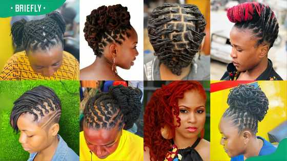 50+ stylish dreadlocks styles for ladies in 2024 (with pictures ...