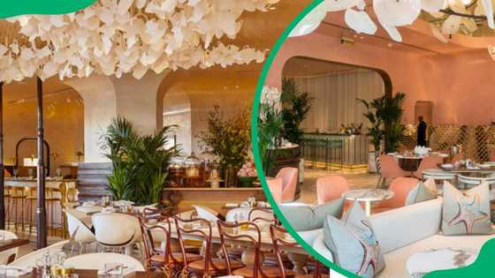 Tashas menu and prices in South Africa (updated for 2024) - Briefly.co.za