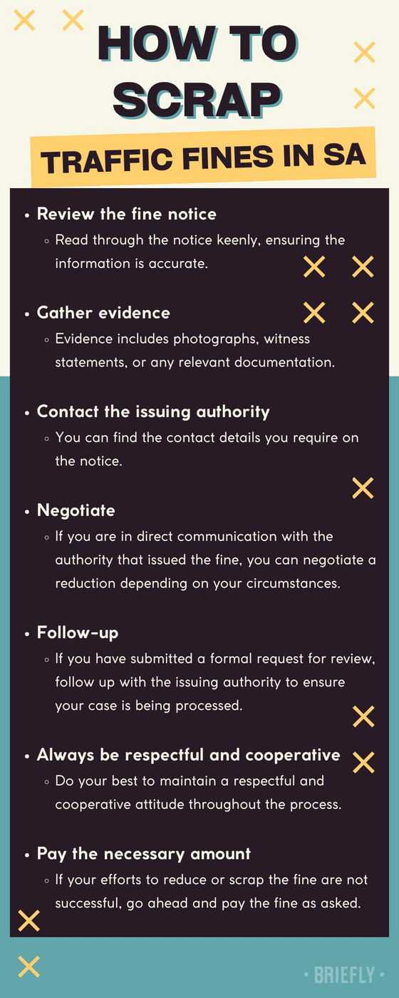 How to scrap traffic fines in South Africa in 2024: Everything to know ...