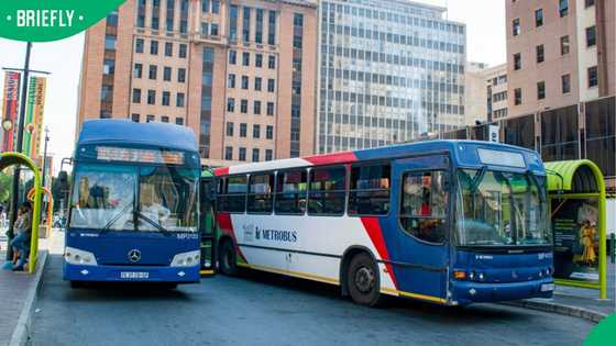 “This Country Is Falling Apart”: Mzansi Furious as Joburg Metrobus ...