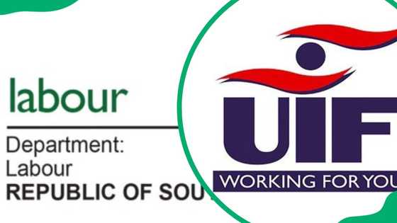 UIF cancellation online procedure: What you ought to know - Briefly.co.za