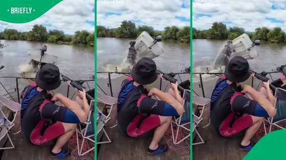 “The Creature Can Do That?”: Hippo Leaves Mzansi Shocked After Flipping ...