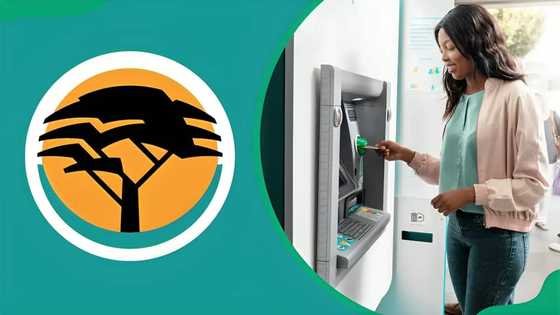 FNB Easy account fees 2024: Here is everything you need to know ...