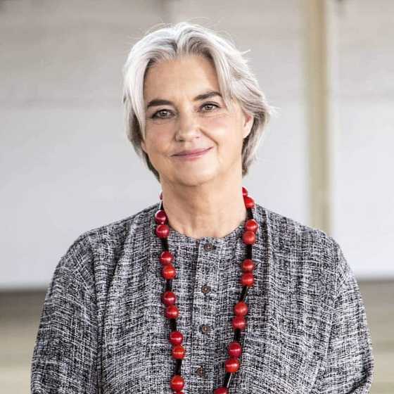 The life and times of Carrol Boyes - Briefly.co.za