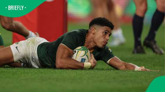 Rassie Erasmus Hails Springboks Star After Breaking Record in SA’s ...