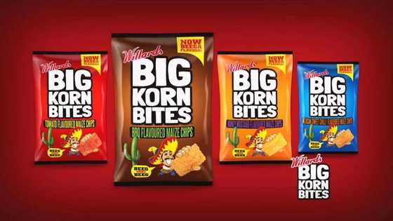 16 must-try, proudly South African snacks and products sold only in the ...