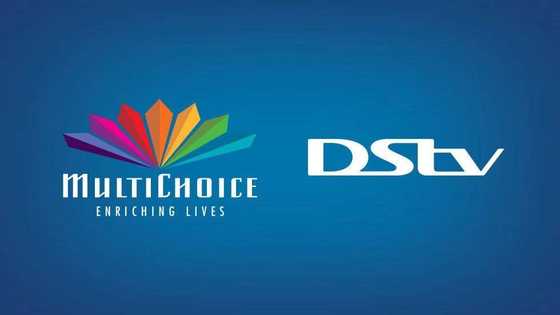Here is what to do when your DStv decoder loses signal - Briefly.co.za