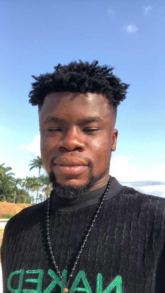 “It Looks Like a Human”: Snake’s Bloated Belly Sparks Curiosity About ...