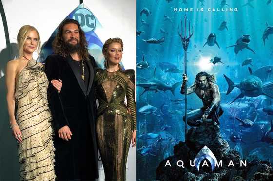 How many Aquaman movies are there? The best order to watch - Briefly.co.za