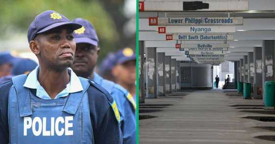 Cape Town SAPS Seize Fake Clothes Worth Over R100 Million at Belville ...