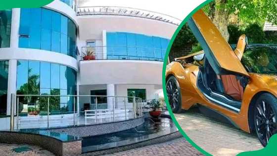 Sbu Mpisane's net worth: How rich is MaMkhize's ex-husband? - Briefly.co.za