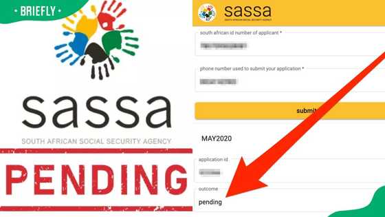 SASSA status pending: What it means and how to solve it - Briefly.co.za