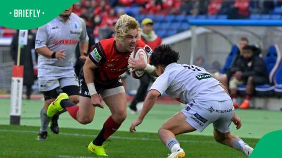 Faf de Klerk Fires Up Braai in Japan as Springboks Star Delights South ...