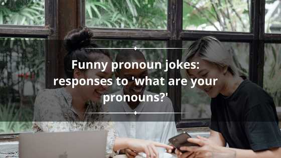 70 funny pronoun jokes: Responses to 'what are your pronouns ...