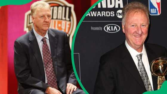 Who is Janet Condra? All about Larry Bird's ex-wife - Briefly.co.za