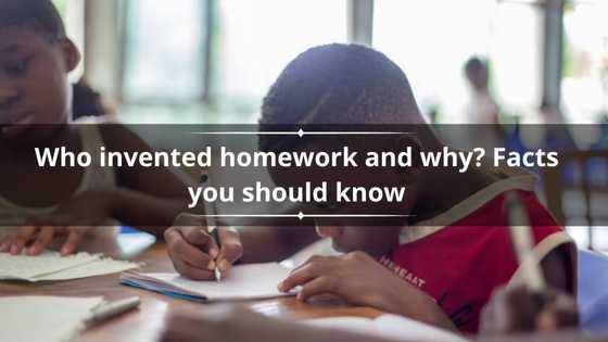 Who invented homework and why? Facts you should know - Briefly.co.za
