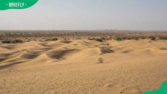 Top 9 driest deserts in the world and the reason behind it - Briefly.co.za