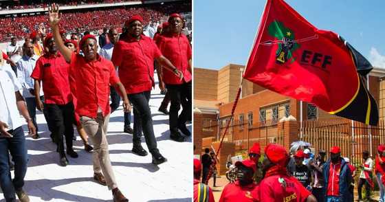 EFF Officially Has Over R1 Million Members, Mzansi Douts Their ...