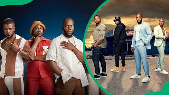 Showmax series Adulting: Cast, plot summary, episodes, season - Briefly ...