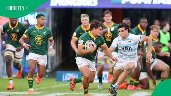 Schoolboy Rugby Stars Fast-Tracked Into Springboks 2026 Squad - Briefly ...