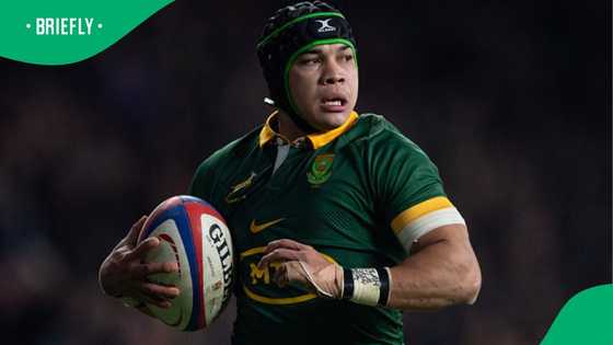 “The Next Cheslin Kolbe! No DNA, Just RSA”: Zedan Johnson Wows Mzansi ...