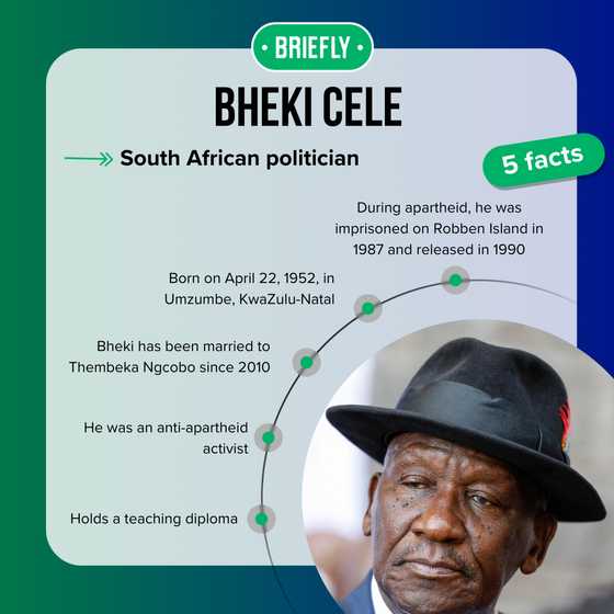 A look at Bheki Cele's net worth and the former Minister of Police's ...