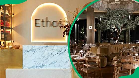 Ethos Restaurant's menu and prices: Mediterranean cuisine in Rosebank ...