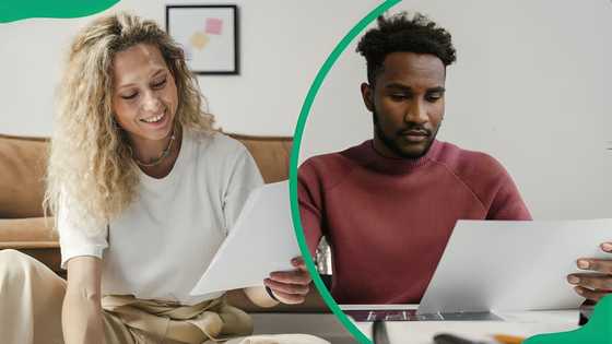 How to get a CSD report in 2024? Read this step-by-step guide - Briefly ...