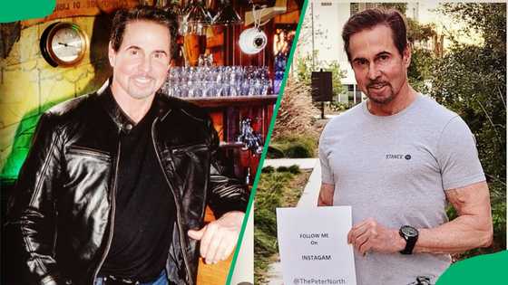 Peter North’s story: from early beginnings to fame - Briefly.co.za