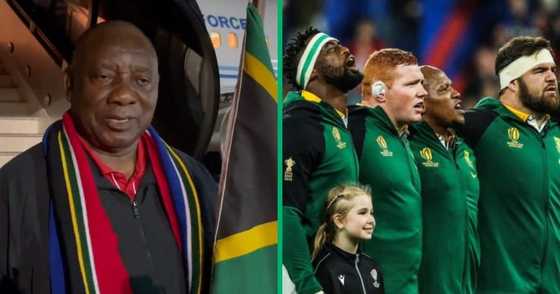 RWC 2023: Presidency Shares Video of Ramaphosa Jetting to France for ...