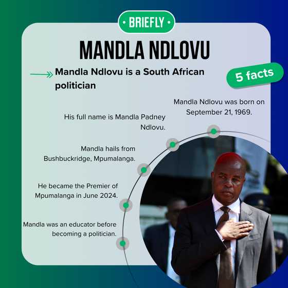 Who is Mandla Ndlovu? Get to know the Premier of Mpumalanga - Briefly.co.za