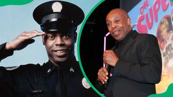 Where the Police Academy cast are today: Photos then and now - Briefly ...