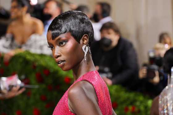 25 most influential black female models in the world | What are their ...