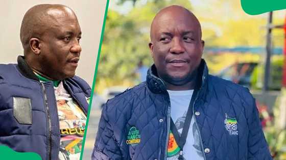 Mandla Msibi's biography: Get to know the South African politician ...